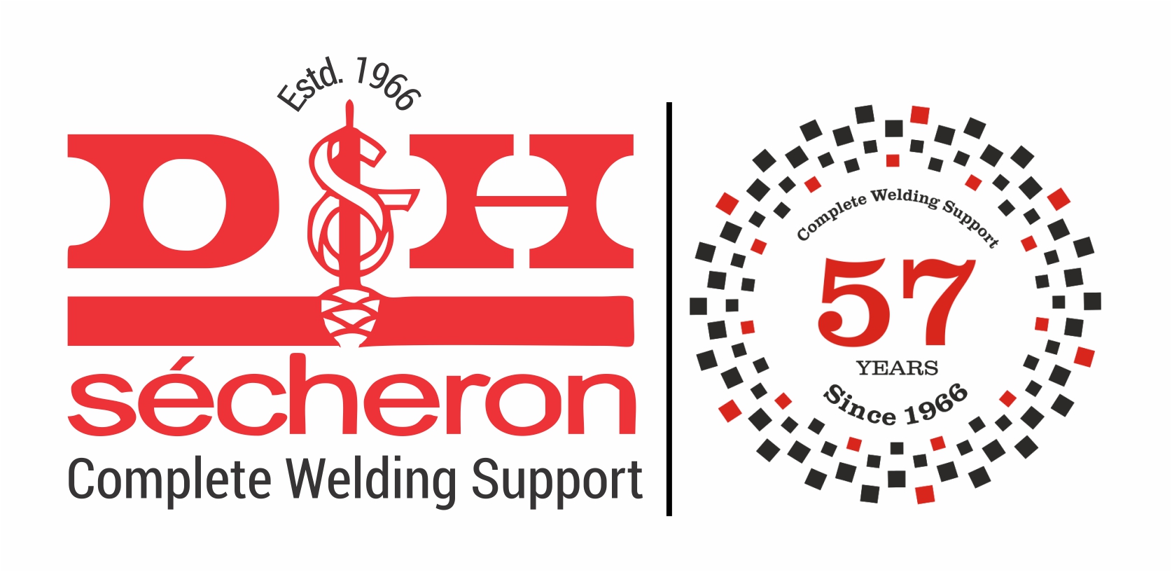 Mega Project - D&H Secheron